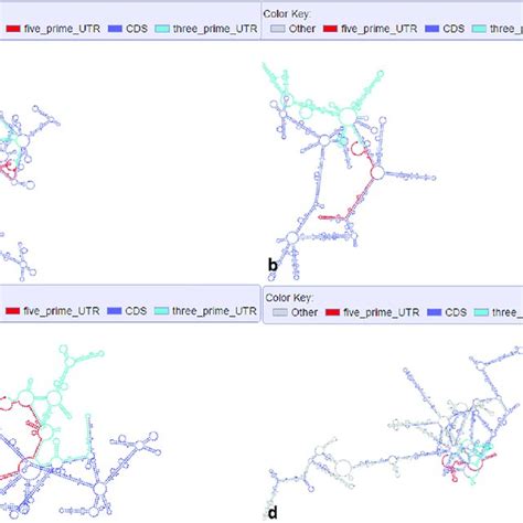 Secondary Structure Graphs Of Selected Mrna Isoforms And Un Spliced