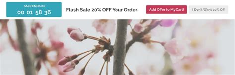 9 Best Wordpress Countdown Timer Plugins Free And Paid