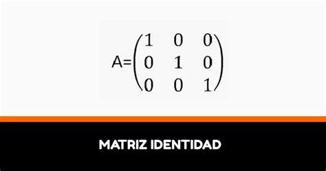 Matriz Identidad Definición Propiedades y Aplicación