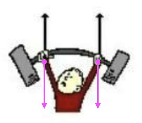 Solved 3 In The Diagrams Below The Action Forces Have Been Labeled