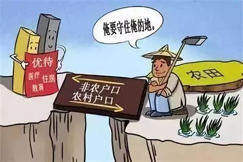你想多了！学区房三大误解，家门口的学校不一定能去！ 家长