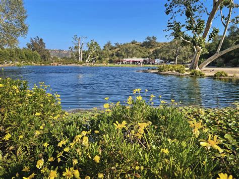 Monserate Winery Hidden San Diego