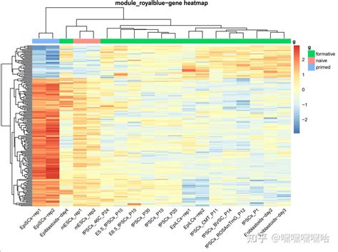 Rna Seq入门实战（十一）：wgcna加权基因共表达网络分析——关联基因模块与表型 知乎