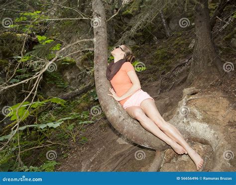 Hanging On A Tree Stock Photo Image Of Travel Portrait 56656496