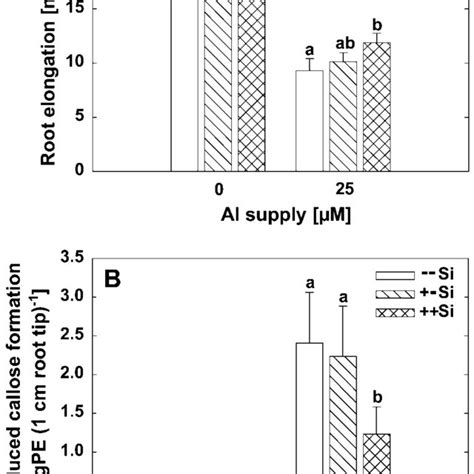 Effect Of Si On Root Elongation A And On Al Induced Callose Formation Download Scientific