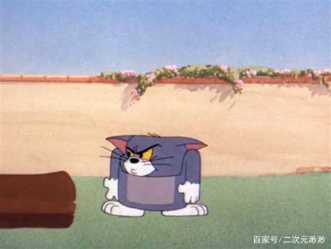 《猫和老鼠》不同方言版的名字 河南的太搞笑 四川的很有特色 杰瑞 汤姆 假老练
