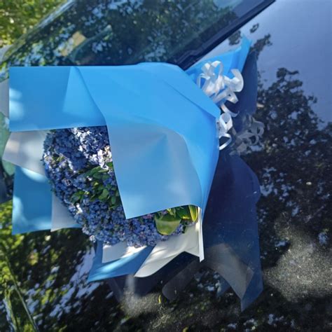 ყვავილების მაღაზია საოცრება ყვავილების მაღაზია საოცრება