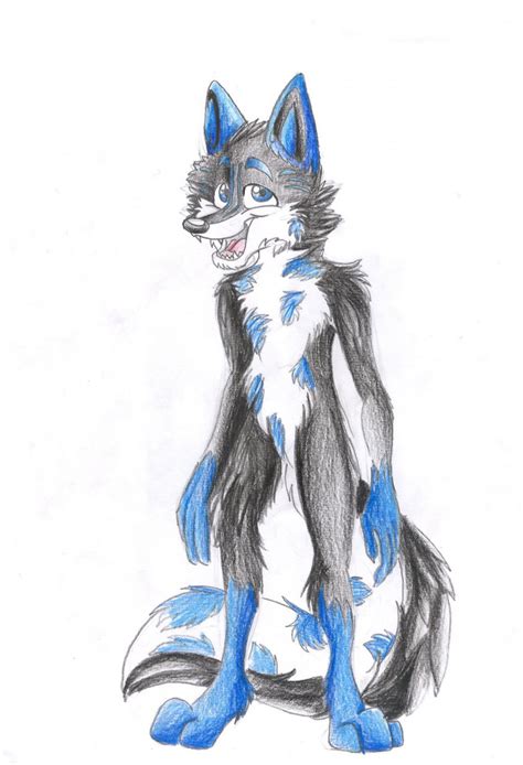 Rayne Blue Folf Traditional Canidanthro — Weasyl