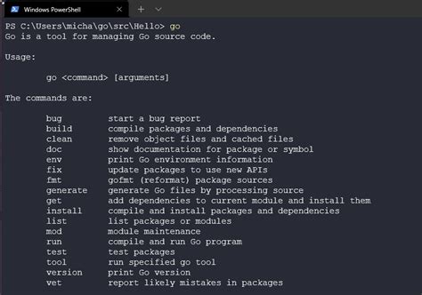 90 ngày devops ngày 10 không gian làm việc của go