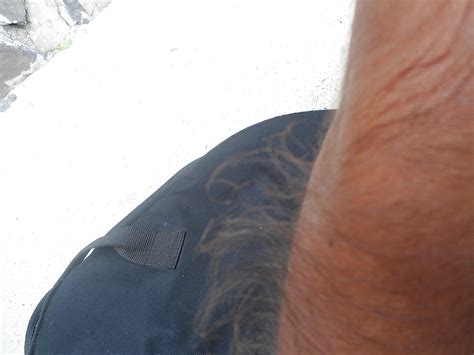 Girl With Very Hairy Arms Porn Pictures Xxx Photos Sex Images