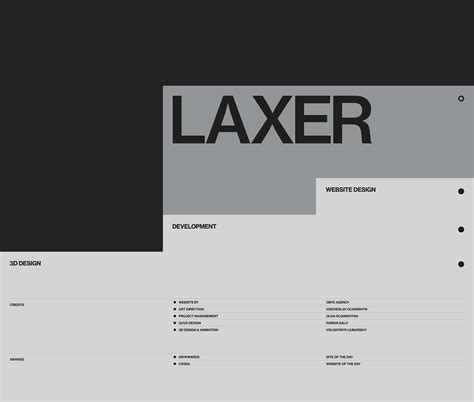 David Laxer Behance