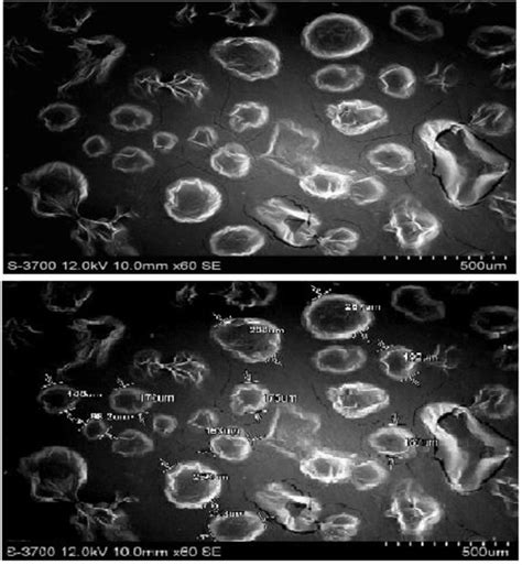 Figure 2 From Formulation And Evaluation Of Piroxicam Loaded Ethosomal Gel For Transdermal