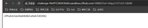Ctfhub技能树通关教程——ssrf漏洞原理攻击与防御（一）超详细总结 白小雨 博客园