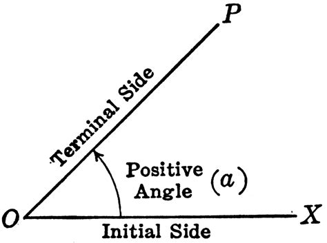 What Are Terminal Sides At David Galbreath Blog