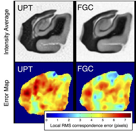 average intensity images and pointwise local correspondence error maps