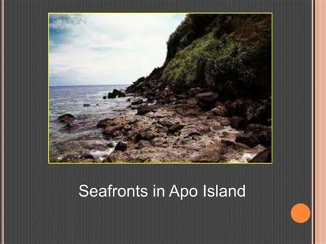 Five Classification Of An Estuarine Ecosystem PPTX Environment Science