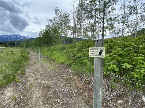 Csrd Environment Ministry At Odds Over Compliance Issues At Regional
