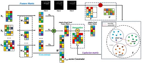 Pairwise Constraint Guided Multi View Feature Selection By Joint Sparse Regularization And