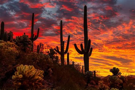 Desert Southwest Alan Nyiri Photography Western Desert Sunset