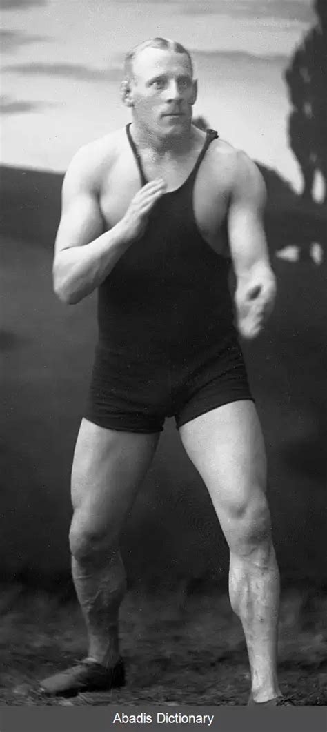 کلاوس یوهانسون معنی در دیکشنری آبادیس