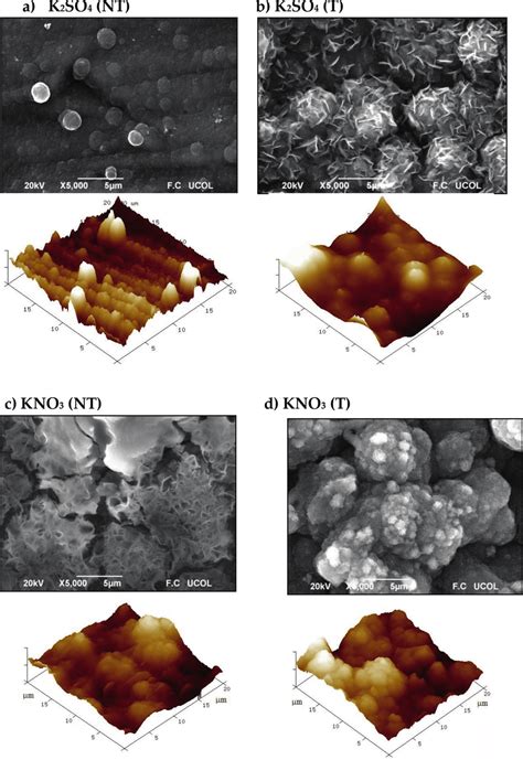 Sem And Afm Micrographs Of The Ppy Deposited By The Chronoamperometry Download Scientific
