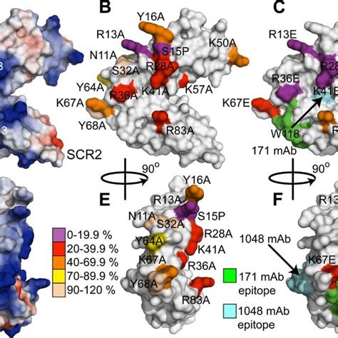 Pdf Isolating The Epstein Barr Virus Gp350 220 Binding Site On Complement Receptor Type 2 Cr2