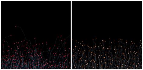 Experiments Vs Simulations Image Eurekalert Science News Releases