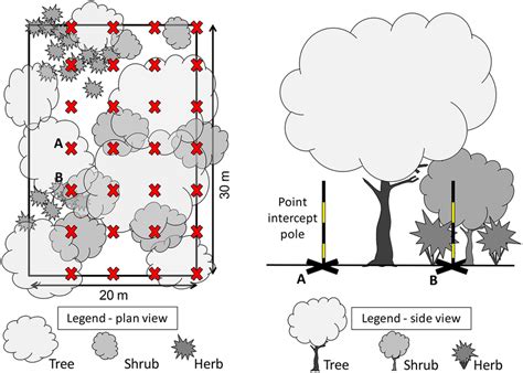 Plan View Left Of A Vegetation Plot Measuring 20 M By 30 M With 28 Download Scientific
