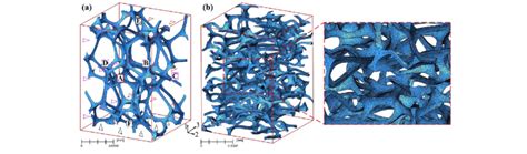 Finite Element Models Of The Pristine A And The Auxetic Foam With R C