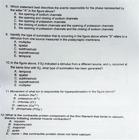 Solved 8 Which Statement Best Describes He Events Responsible For The Phase Represented By