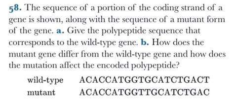 solved 58 the sequence of a portion of the coding strand of