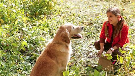 Prime Video Roxy Hunter And The Secret Of The Shaman