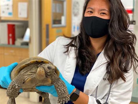 Oakridge Veterinary Clinic Exotic Vet Reptile Veterinarian