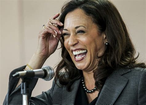 Новый претендент Фарфоровая черепашка Дзен