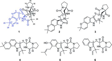 The Structures Of Compounds Download Scientific Diagram