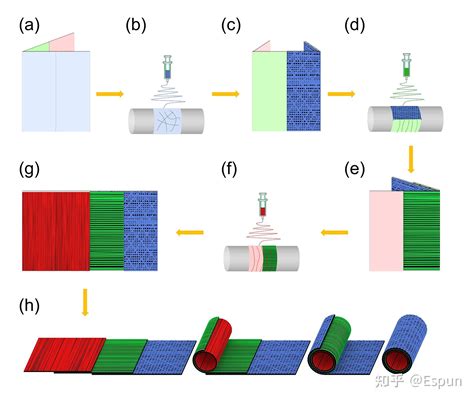 贵州大学李龙：用于血管组织工程的三层结构电纺丝明胶仿生支架 知乎