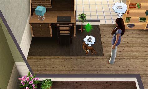 Random Photographs Hidden Paradise