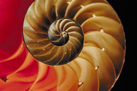 Interactive Java Consoles With Jline And Consoleui Infoworld