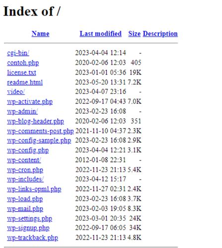 Apa Itu File Index Pada Website Beserta Contohnya Rumahweb