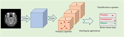 Capsule Network Architecture A Convolutional Layer Is Used To Form The