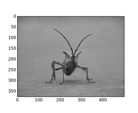Image Tutorial Matplotlib Documentation