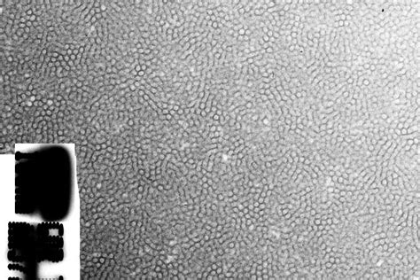 A Sample Of Dense Packed Ge Ncs 2d Layer In Figure 8 A Electron Download Scientific Diagram