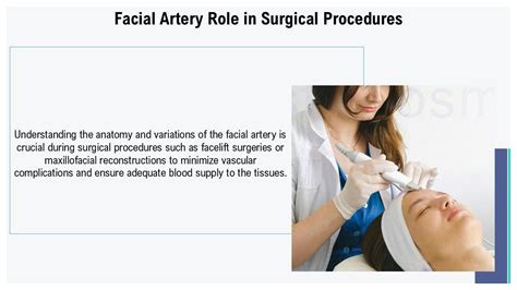 Facial Artery Facial Artery Maxillary Ppt Template Acp Ppt Sample