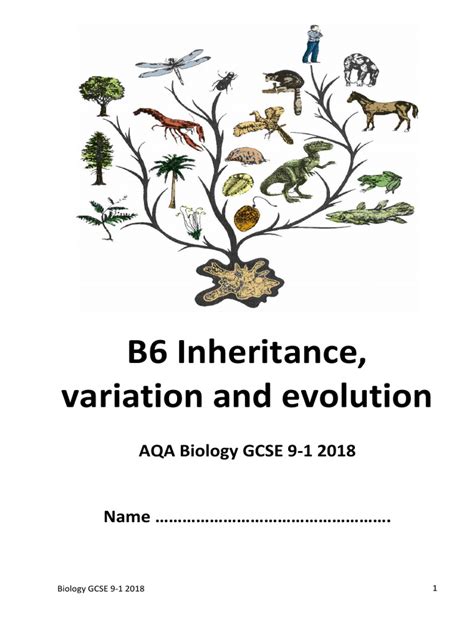 B6 Inheritance Notes Biology Triple Pdf