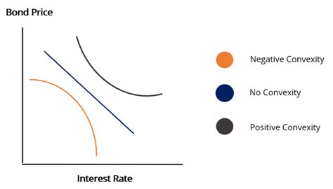 Negative Convexity Overview Interest Rates Duration Formula