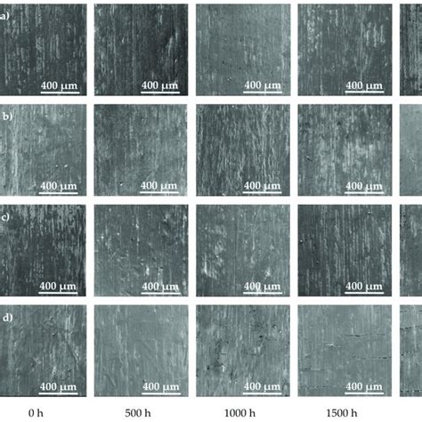 Scanning Electron Microscopy Sem Micrographs 100× Of Composites At