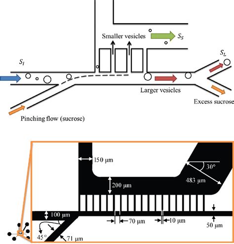 Figure 1 From Evaluation And Comparison Of Two Microfluidic Size