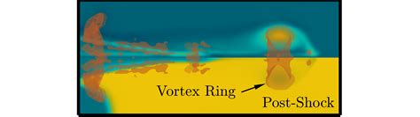 Vortex Simulation Planets