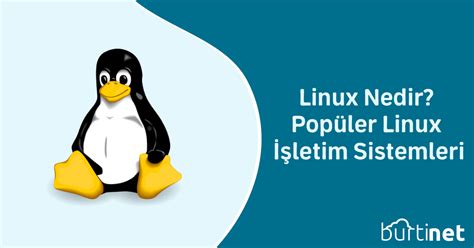 Linux Nedir Popüler Linux İşletim Sistemleri Burtinet
