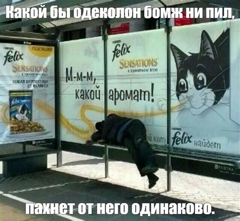 Мем Какой бы одеколон бомж ни пил пахнет от него одинаково Все шаблоны Meme